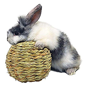 Peter's Woven Grass Play Ball for Rabbits