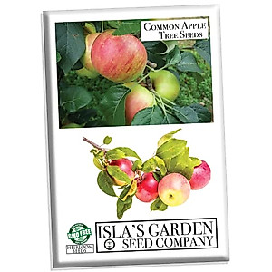 Common Apple Tree Seeds for Planting, 15+ Fruit Tree Seeds Per Packet, (Isla's Garden Seeds), 70-90% Germination in Good Conditions, Malus pumila, Botanical Name: Malus pumila, Great Home Garden Gift