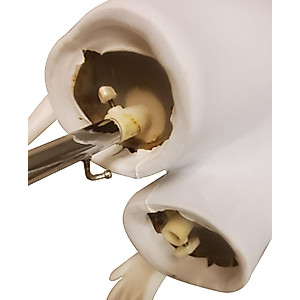 40" Chest Waist HIPS Male Mannequin Dress Form + PINNABLE ARMS Cream