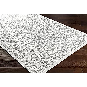 Mark&Day Animal Print Rugs, 5x7 Vossen Modern Indoor Outdoor Cheetah Leopard Cream Area Rug, Non Shedding White Blue Black Carpet for Patio, Porch, Deck, Living Room, Bedroom or Kitchen (5'3" x 7'3")