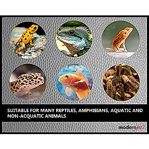 Stone Cave Shelter Hiding Turtle House - Hideout Caves for Reptile Aquarium Terrarium Decoration Ornament (8.3 x 6 inches)