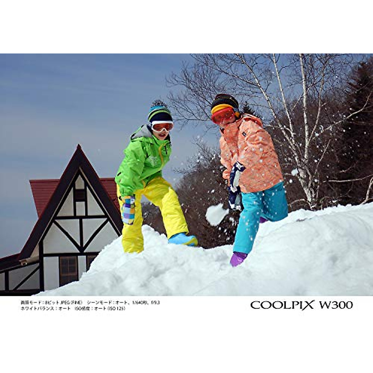 Nikon Digital Camera COOLPIX W300 COOLPIX Yellow Waterproof Camera (International Version)