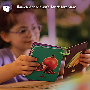 Zedne Arabic Alphabet Flash Cards - 48 Pcs Double-Sided Flashcards (96 Images) with Rings Educational Learning Toys for kids Birthday Preschool Gifts (Alphabet, Numbers, Animals, Fruit)