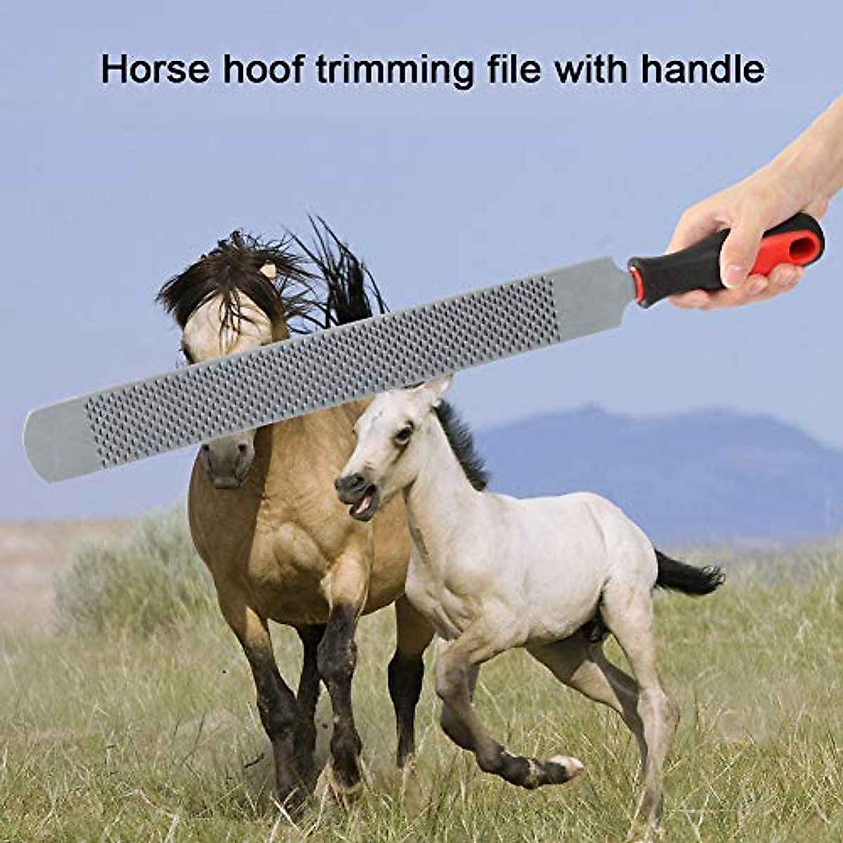 LZKW Double Sided Farrier Tool Professional Horse File Horse File, Horse Rasp, for Clean up The Horse's Hooves