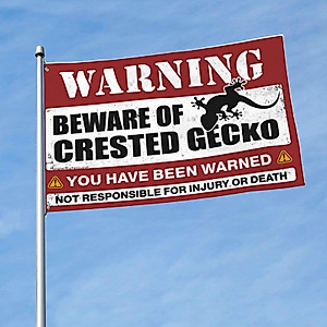 Stuff For Your Room Beware Of Crested Gecko Flag Girl Flags For Bedroom Men Stuff (Size : 120X180CM)