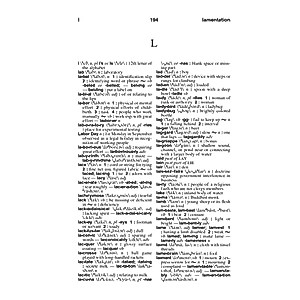 Webster's American English Dictionary, New Edition