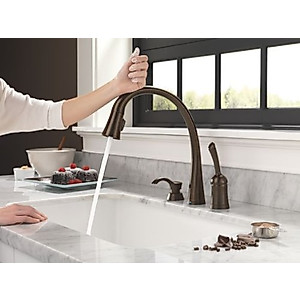 Delta Faucet Pilar Kitchen Soap Dispenser for Kitchen Sinks, Venetian Bronze RP50781RB