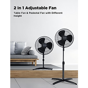 PELONIS 16‘’ Pedestal Stand Up Oscillating Fan with 3 Speeds Settings Ultra Quiet Adjustable Heights for Bedroom, Living Room, Home and Office 2 Packs Black