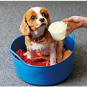 TubTrug SP15PST Shallow Pistacio Flex Tub, 15 Liter