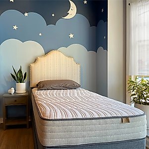 Ethical Mattress CO 10" Toxin-Free Hybrid Mattress, Made in USA with Organic Cotton, Wool, Latex & Pocketed Coils (Mattress-in-a-Box) Comfortable & Supportive for All Ages - Full Size