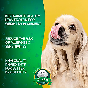 Lucky Premium Treats Chicken Wrapped Sweet Potato Dog Treats, Natural Sweet Potato and Chicken Wraps, Gluten-Free Dog Chews, Healthy Snacks for Dogs, 4.5", 23 Chews