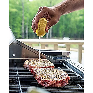 Monument Grills Larger 4-Burner Propane Gas Grills Stainless Steel Cabinet Style with Rotisserie Kit