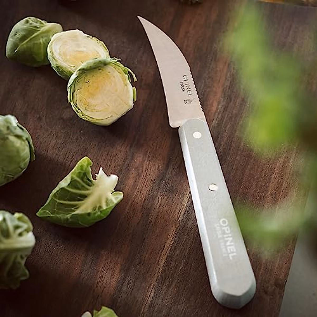 Opinel Les Essentials Small Kitchen 4 Piece Knife Set - Paring Knife, Serrated Knife, Peeler, Vegetable Knife, Corrosion Resistant High Carbon Steel, Made in France (Primavera)