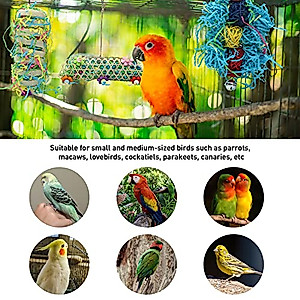 ZOCONE 6 Pcs Bird Toys, Parrot Foraging Chewing Toys, Bird Shredding Toys, Loofah Hanging Parakeet Toys, Cage Accessories for Cockatiels, Conure, Medium/Small Parrots, Finch, Lovebirds, Budgie