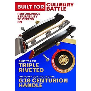 Dalstrong Chef Knife - 10 inch - Centurion Series - Premium Swedish 14C28N High Carbon Stainless Steel - G10 Handle Kitchen Knife - Razor Sharp Chef's Knife - Cooking Knife - Sheath Included