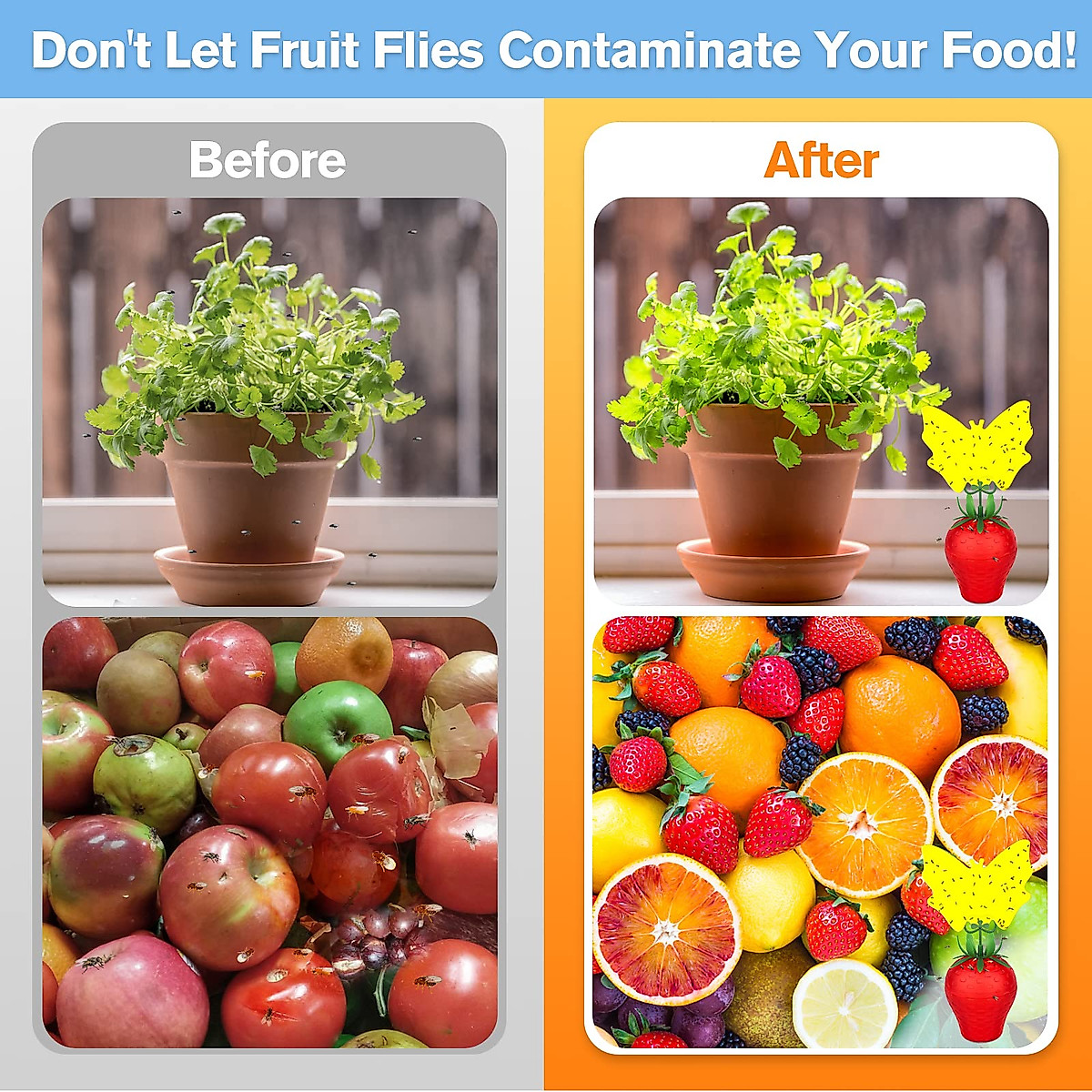 Fruit Fly Trap for Indoors,2024 Upgrade Fruit Flies Gnat Killer with Yellow Sticky Fruit Fly Traps,Safe and Non-Toxic Fruit Flies Traps,Odorless Fly Insect Trap for Home,Kitchen,Plants (Red,2 Pack)