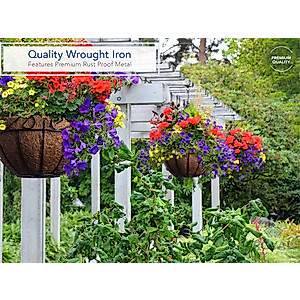 Royal Imports Metal Hanging Planter Flower Basket with Coco Coir Liners 13" Round Wire Outdoor Porch Balcony Garden Décor, Set of 2