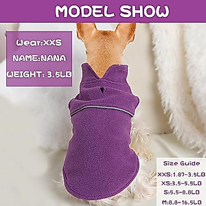 2 Pieces Plaid Dog Sweaters for Small Dogs, Chihuahua Fleece Clothes with Leash Hole, XS Dog Clothes Winter Warm Puppy Sweaters Boys Girls Tiny Dog Outfits Teacup Yorkie (Purple,Rose, Large)