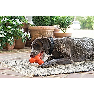 PetSafe Large Sportsmen Squeak 'N' Treat Troog Pet Chew Toy