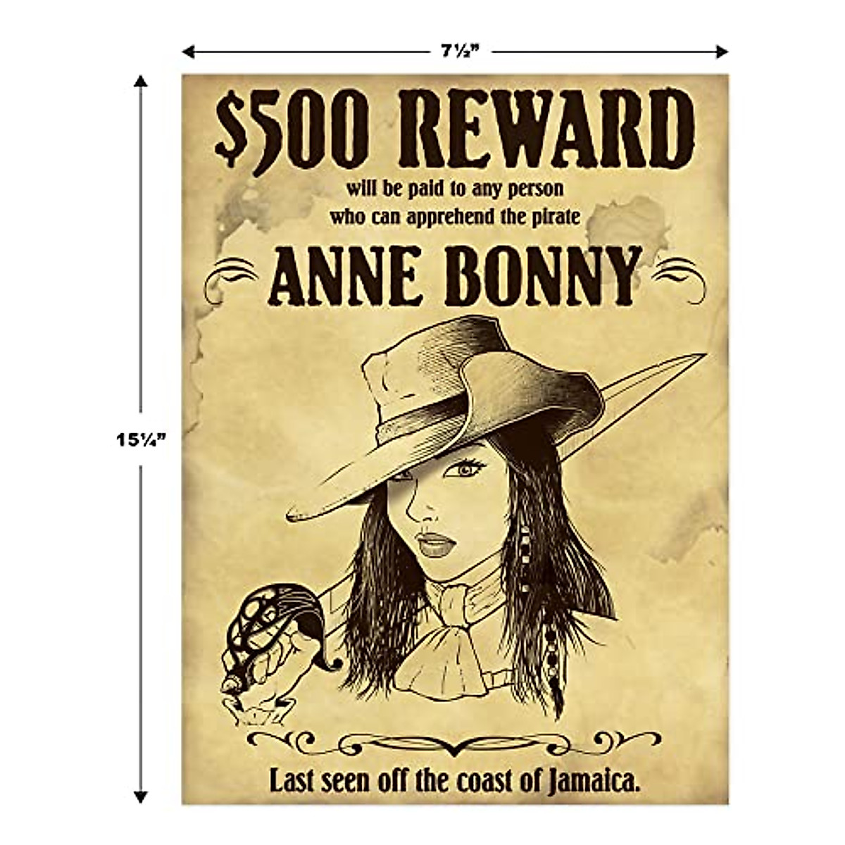 Beistle 8 Piece Pirate Wanted Sign Cutouts, 15.25", Black/Tan