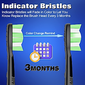 Jiuzhoudeal Toothbrush Replacement Heads for Philips Sonicare DiamondClean ProtectiveClean 4100 5100 6100 C2 G2 Electric Toothbrush Brush Heads Black, 10 Pack