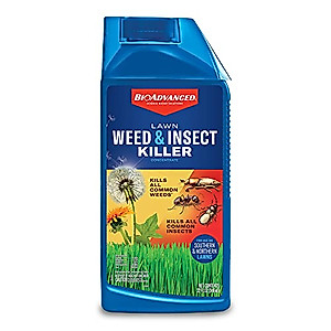 BioAdvanced Lawn Weed and Insect, Concentrate, 32 FOZ
