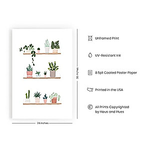 HAUS AND HUES Plant Pictures Wall Art - Succulent Art Wall Decor, Plant Prints Wall Art & Botanical Plant Wall Art Prints, Cactus Poster Botanical Flower pots on Shelves (24x36 Unframed)