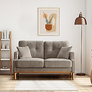 SoarTalent 56.7" Loveseat Sofa Small Couch Fabric Upholstered 2-Seat Sofa with USB Port for Small Place, Apartment, Living Room,Office(Light Grey)