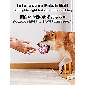 SCHITEC Squeaky Dog Ball, [4 Pack] Latex Rubber Dog Squeak Toys, 2.7'' Soft Bouncy Fetch Balls for Medium Small Pets Interactive Play