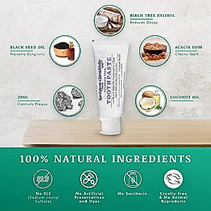 Sprinjene Fluoride Free Toothpaste for Sensitive Teeth & Gum Fresh Breath Helps Dry Mouth Natural Non Fluoride Toothpaste for Adult SLS Free, Toxic Preservative Free with Black Seed Oil & Zinc 2 Pack