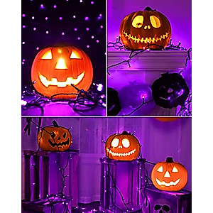 Flacchi Purple Solar Halloween Lights 72ft 200 LED 8 Modes Waterproof Solar String Lights for Garden,Patio,Fence,Balcony,Outdoor,Holiday Decoration