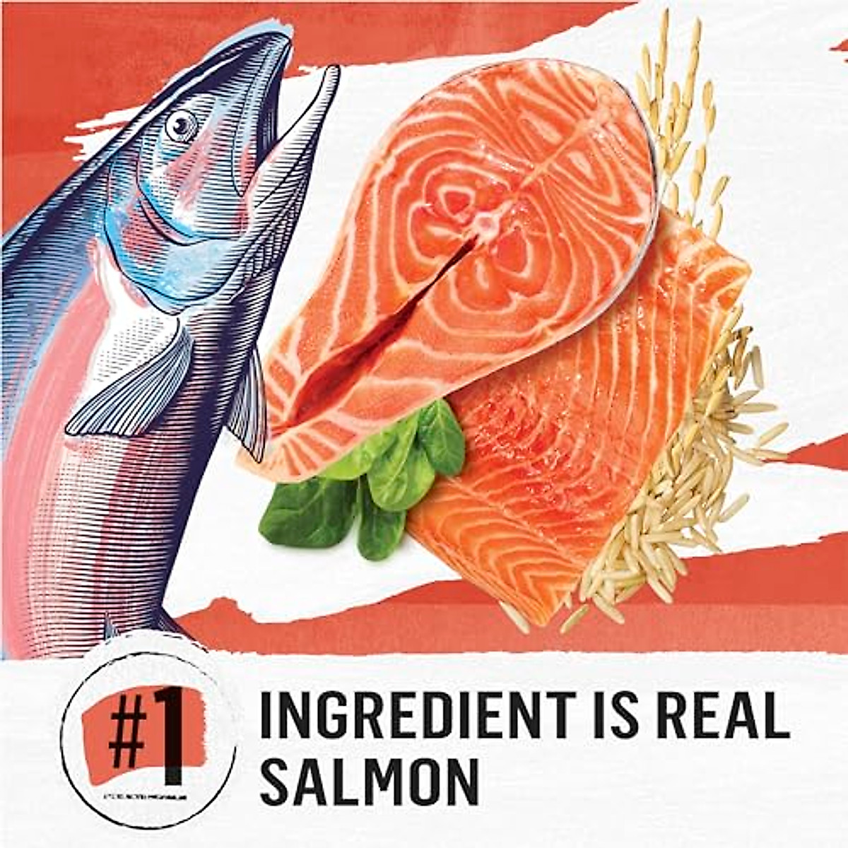 Purina Beyond Natural Wholesome Ingredients for Whole Health Dry Cat Food Salmon and Whole Brown Rice Recipe - 6 lb. Bag