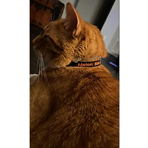 shangye Personalized Cat Collar, Custom Embroidered Cat Collars with with Name and Phone Number, Nylon ID Collar for Cat or Kitten with Breakaway Safety Release Buckle with Bell