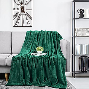 Dekoresyon Fleece Throw Blanket, Plush Fuzzy Bed Blanket Super Soft Lightweight Flannel Blankets for Couch Bed Sofa, (Green, 50x60 Inches)
