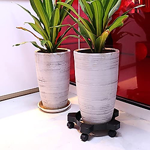 CNQLIS 5 Gallon Heavy Duty Drum Dolly with 5 Swivel Wheel Casters 77 Pound Capacity Drum CartAnti-Tipping for Flower Pots and Buckets Use 11" Diameter（Black）