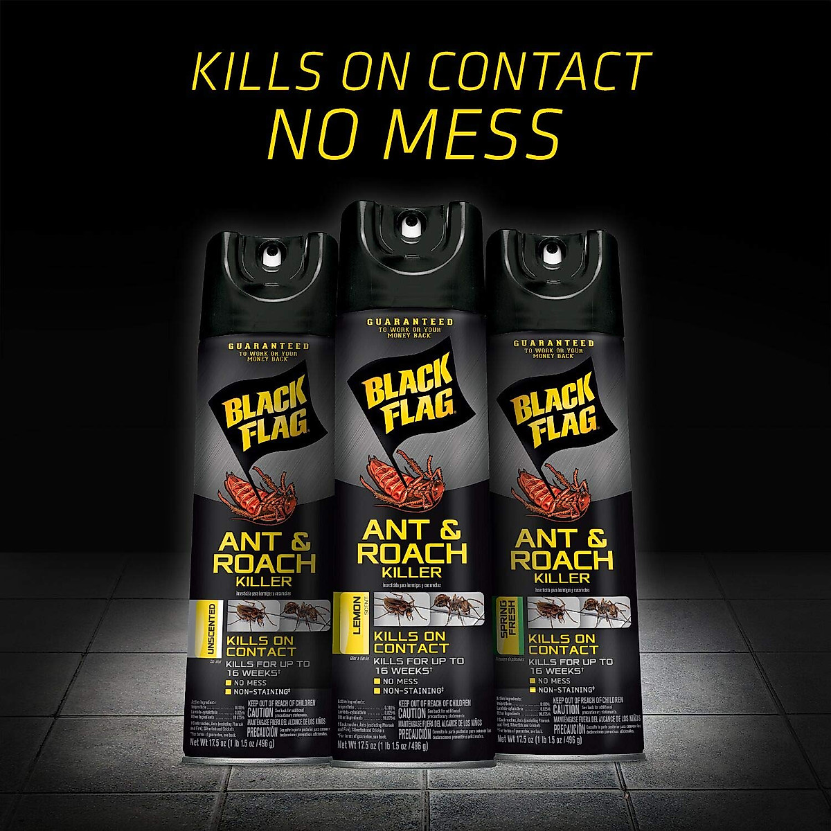 Black Flag Ant and Roach Killer 17.5 Ounces, Aerosol Spray, Unscented