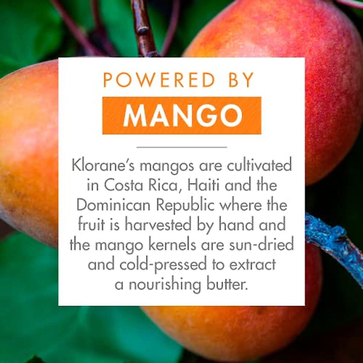 Klorane Nourishing Leave-in Cream with Mango Butter, Moisturize, Hydrate and Smoothe Dry Hair, Paraben, Silicone, Sulfate Free, 4.2 oz.