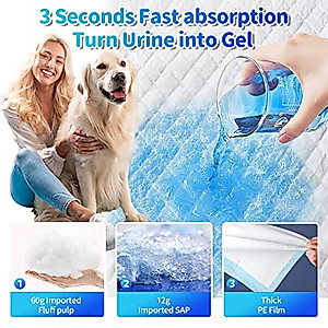 Bulubaky 6 Layers Leak-Proof Super Absorbent Puppy Pads Pee Pads for Dogs, XXL Extra Large Thicken Polymer Quick Dry Dog Pads, Disposable Pet Training Pads for Dogs Cats Rabbit Parrots