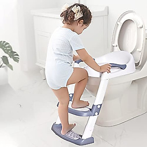 Potty Training Seat with Step Stool Ladder, Gentle Monster Toddler Potty Training Toilet for Kids Boys Girls Baby, Foldable & Comfortable Training Potty Chair Toilet for Child with Anti-Slip Pad(Grey)