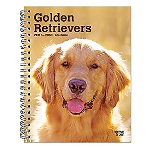 Golden Retrievers 2021 Calendar