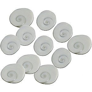 SAI MART Natural Gomti 11piece River Stone Gomati Chakra for Lakshmi/Laxmi Puja Pooja Peace,Prosperity,Energized and Wealt,Success