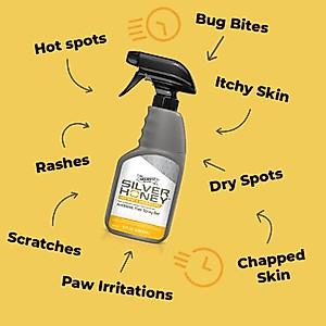 Absorbine Silver Honey Hot Spot & Wound Care 2oz Ointment + 8oz Spray Gel, Manuka Honey & MicroSilver BG, Medicated for Dogs, Cats, Small Animals