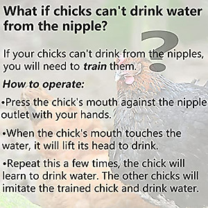 VandanCoop Horizontal Chicken Water Nipples Automatic Poultry Waterer Nipples Kit Drinker with Drill Bit(10)