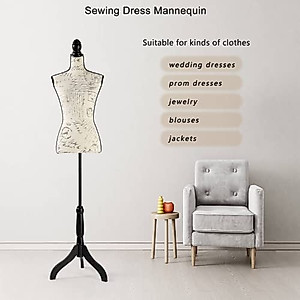 Encomle Dress Form Female Mannequin Torso, Height Adjustable Mannequin Body with Stand for Sewing, Display, Ivory