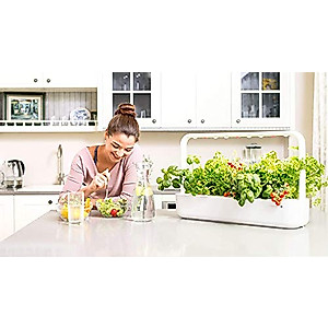 Click and Grow Experimental (seedless) Plant Pods, 3-pack