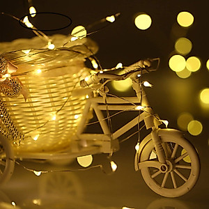 Mikasol Led String Lights, Mini Battery Powered Copper Wire Starry Fairy Lights, Battery Operated String Lights for Bedroom, Christmas, Parties, Wedding, Centerpiece, Decoration (10m/33ft Warm White)