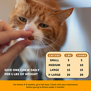 Pet Honesty Cat Immune Support Lysine - Cat Allergy Relief - Sneezing, Runny Nose, Watery Eyes - Cat Supplements & Vitamins with Omega 3s, L-Lysine, Antioxidants, Colostrum - Chicken (30 Day Supply)