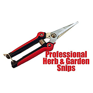 Herb Window Garden Gift Set- Complete windowsill herb Garden Growing kit Including Seeds, pots, Quality herb Clippers, Soil pods All in a Beautiful Planter Box. Hands on Gift Set.