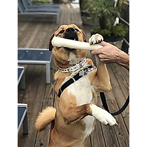 Cowdog Chews Retriever roll 9-10 inch All Natural Rawhide Product (20 Pack)