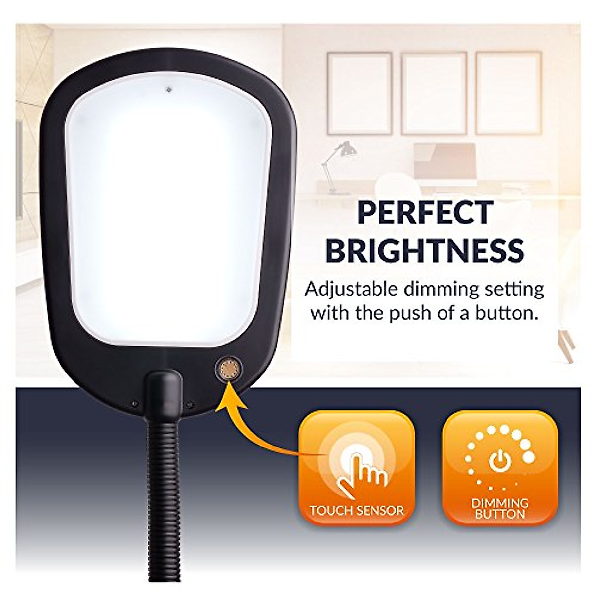 Newhouse Lighting NHFL-AP-BK Apollo LED Floor Lamp Energy-Efficient Natural Reading Artists Crafts Adjustable Gooseneck Task Light, Black